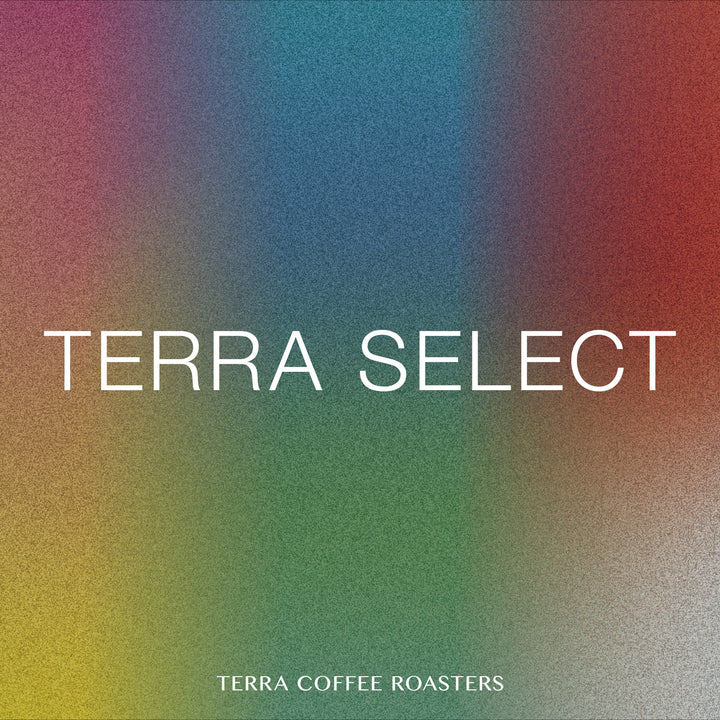 Set – TERRA COFFEE ROASTERS